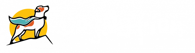DogNation